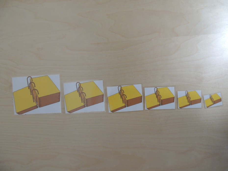 Golden Plates Size Sorting and Poke Pages Conference Activities