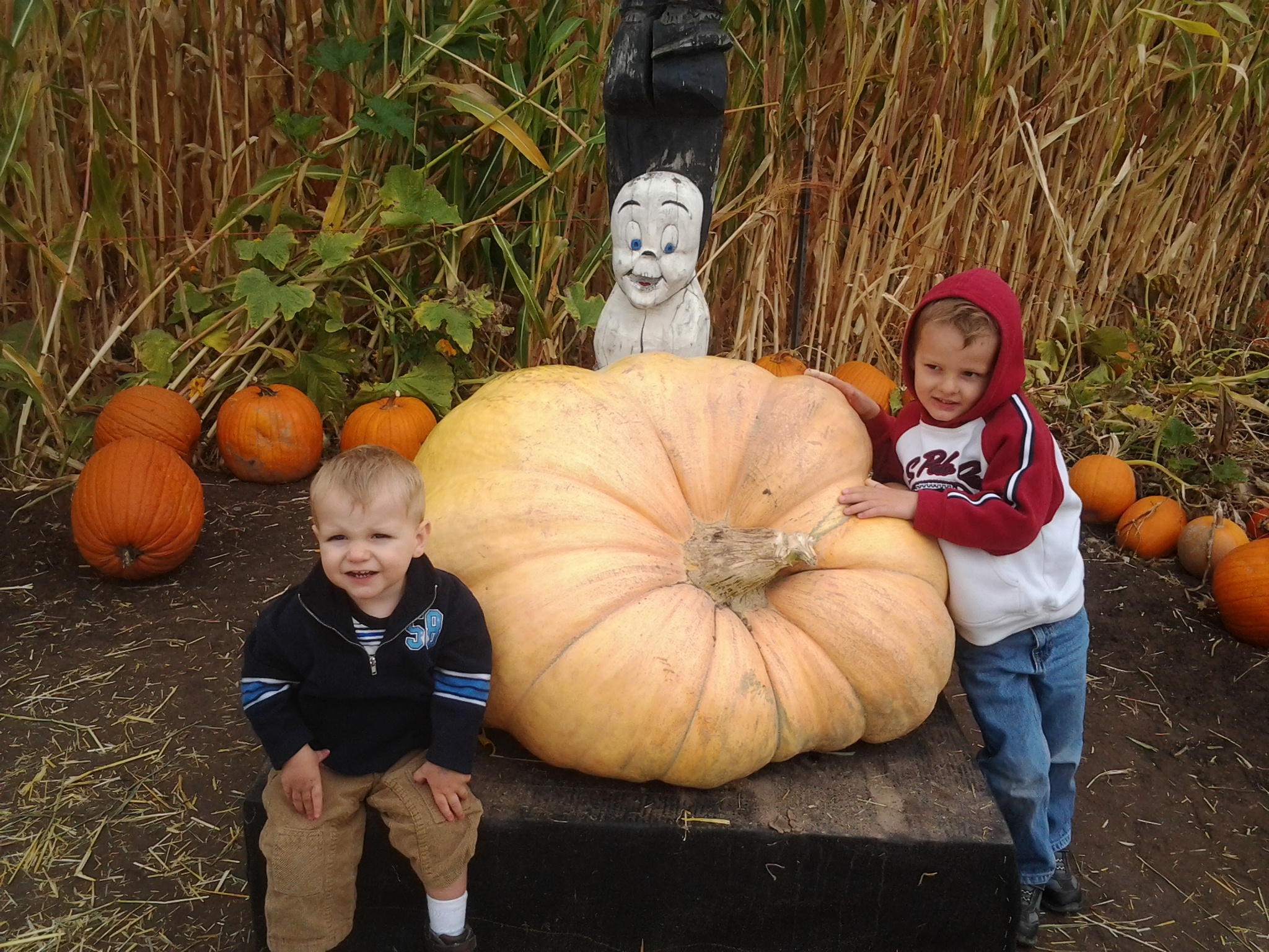 Four Pumpkin Decoration Ideas - Moms Have Questions Too