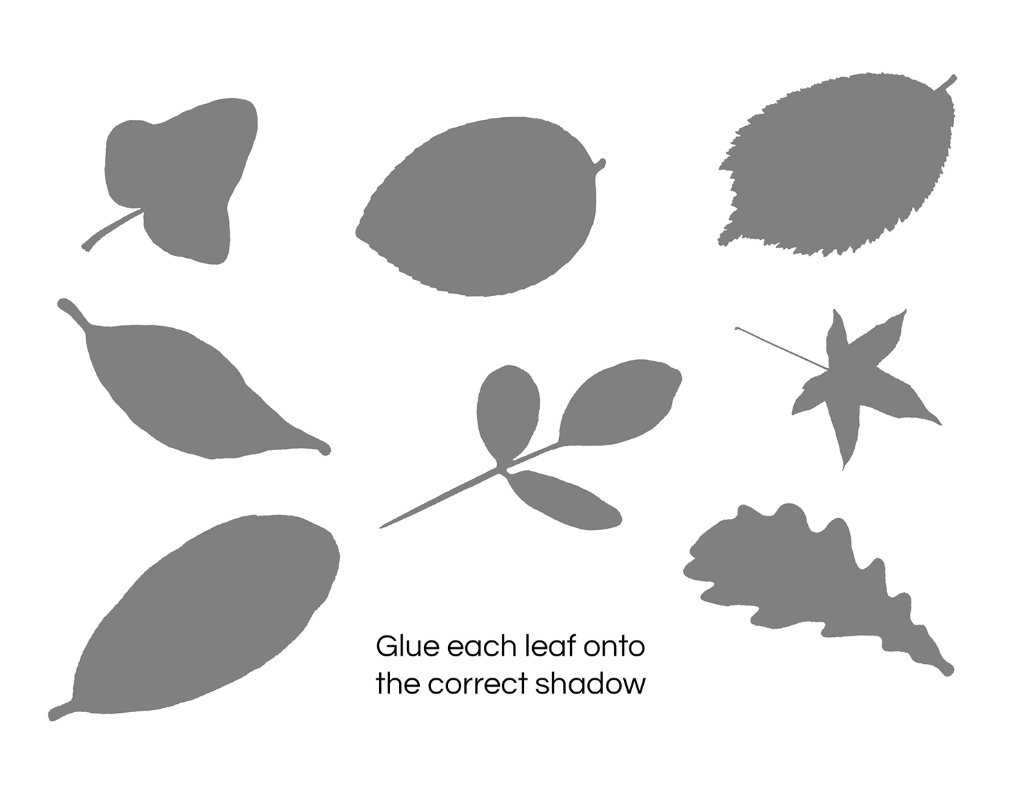 Leaf Activities - Moms Have Questions Too