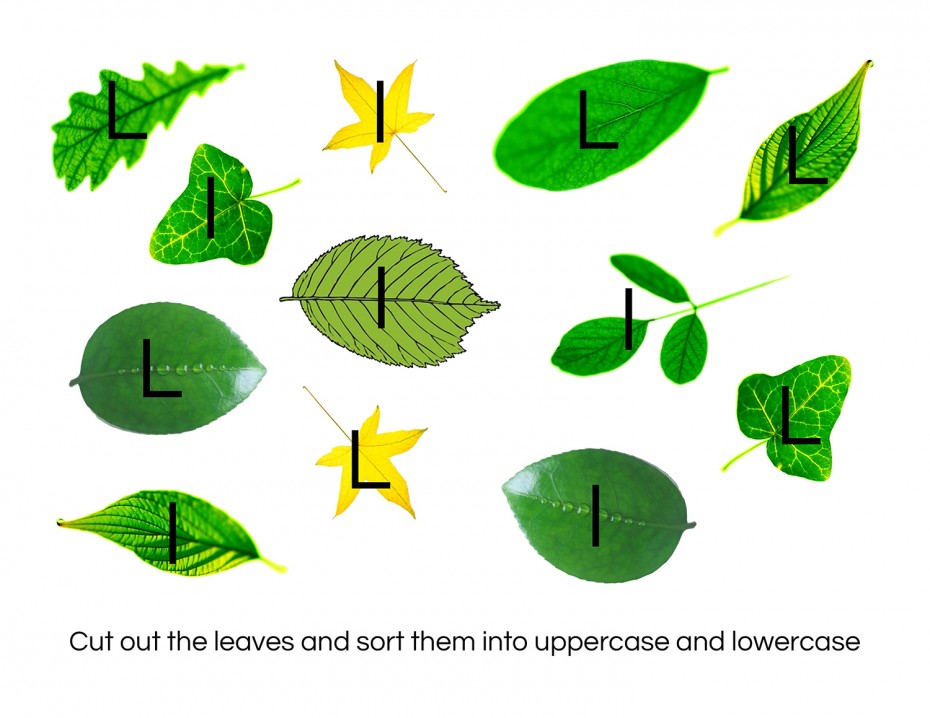 Leaf Activities - Moms Have Questions Too