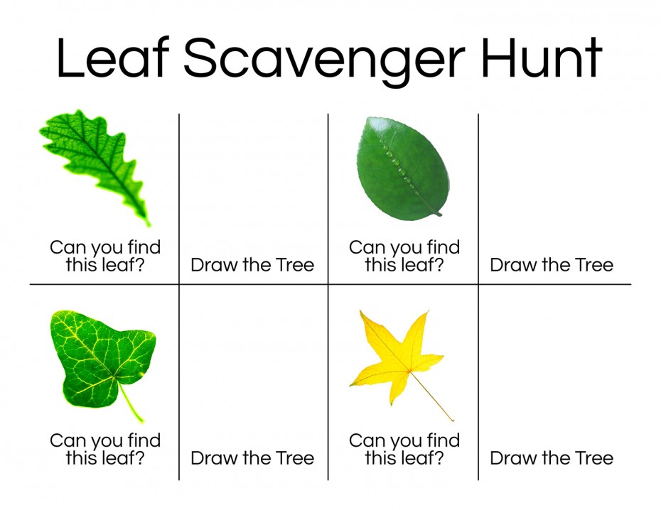 Leaf Activities - Moms Have Questions Too