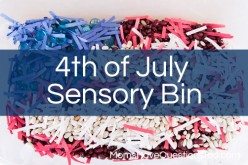 4th of July Sensory Bin with Matching Flag Game - Moms Have Questions Too