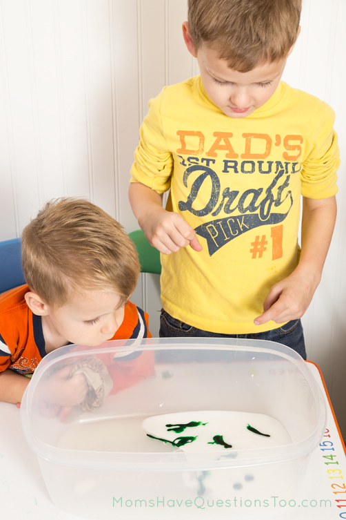 Homemade Silly Putty Recipe and Science Lesson